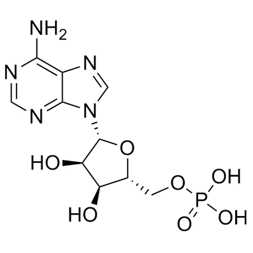 Adenosine monophosphate - CAS - 61-19-8 | Axios Research