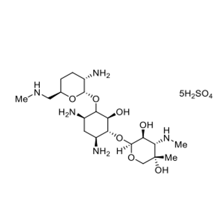 Gentamicin C2b Sulfate - CAS - 66803-19-8 | Axios Research
