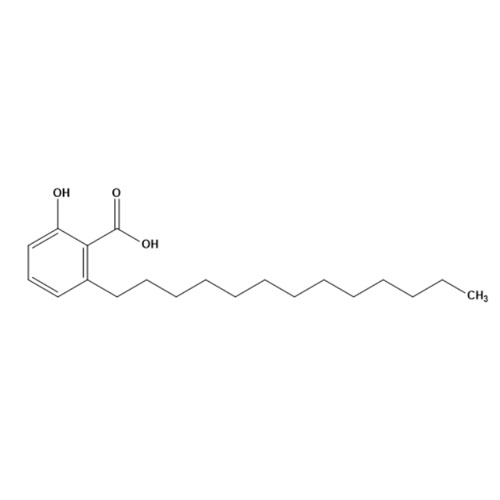 Ginkgolic Acid - CAS - 20261-38-5 | Axios Research