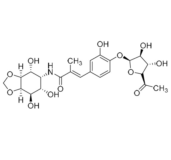 Hygromycin A - CAS - 6379-56-2 | Axios Research