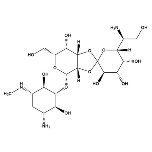 Hygromycin B - CAS - 31282-04-9 | Axios Research