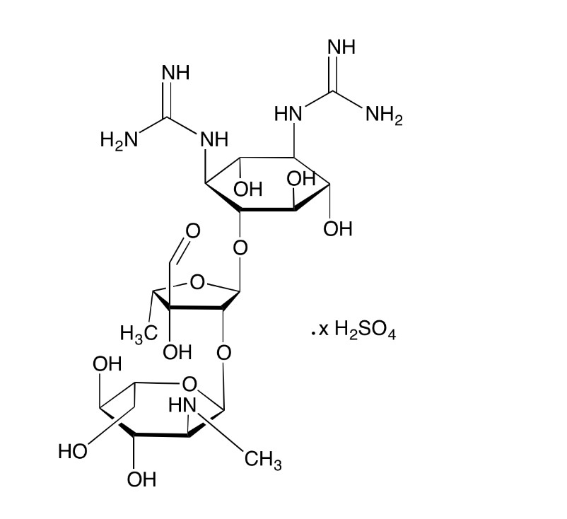 Streptomycin Sulfate - CAS - 3810-74-0 | Axios Research