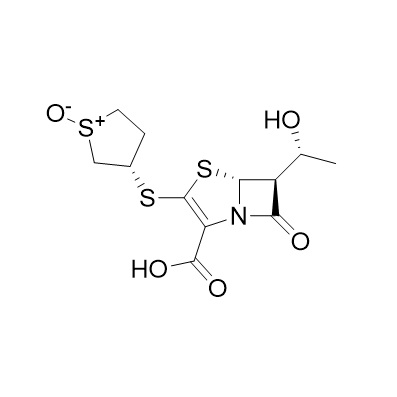 Sulopenem - CAS - 120788-07-0 | Axios Research